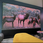 AWOL Vision 80''-150'' 4K 3D Triple Laser Projector LTV-3500 Max